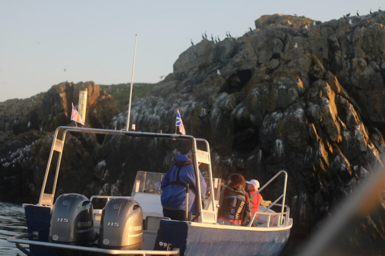 Whale Watching and Puffin Boat Tours in Newfoundland - Great Island ...